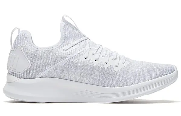 PUMA Ignite Flash Evoknit Low Top Sneakers