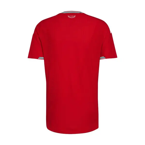 Adidas Wales 26 Home Authentic Jersey - Better Scarlet
