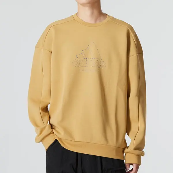 Adidas Crewneck Sweatshirt With Graphic Detail