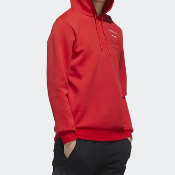 Adidas Neo Pullover Hooded Sweatshirt