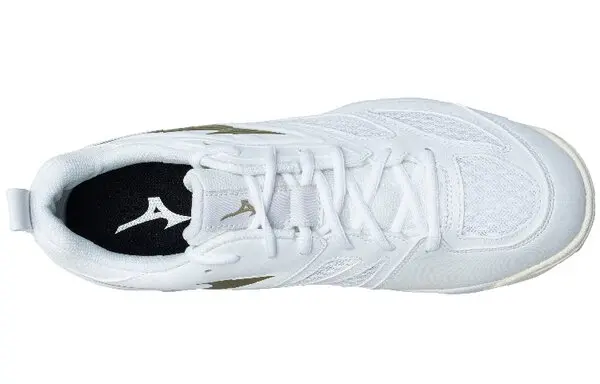 Mizuno Dynablitz Low Top Sneakers