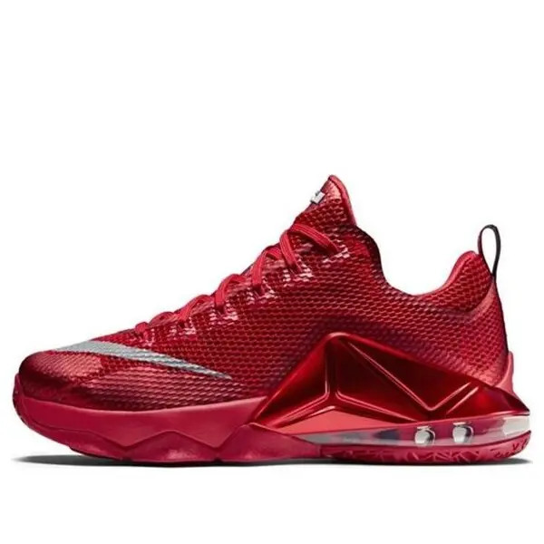 Nike Lebron 12 Low Sneakers
