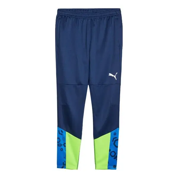 PUMA Individualcup Football Training Pants 'blue Green - Blue/green