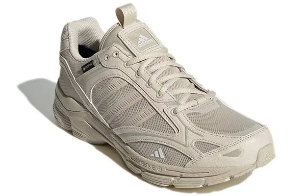 Adidas Spiritain 2000 Gtx Sneakers
