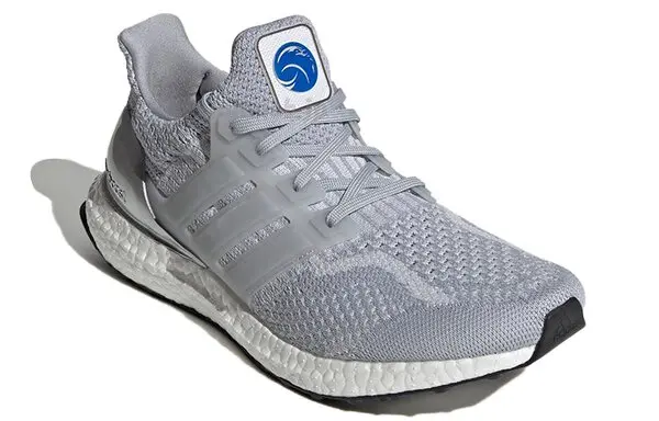 Adidas X Nasa Ultraboost Dna Halo Silver Sneakers