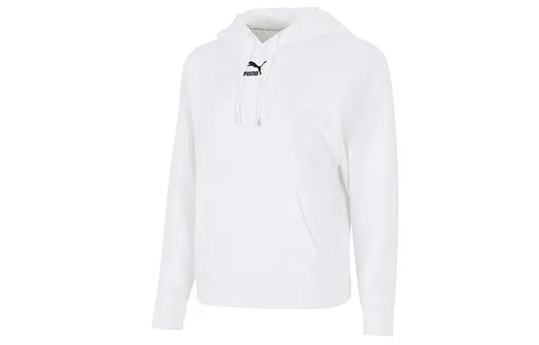 PUMA Classics Logo Graphics Hoodie