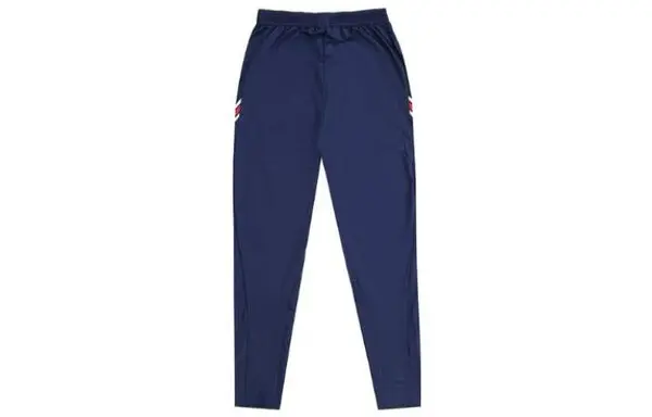 Nike Paris Saint-germain Strike Home Knit Football Pants 'grey