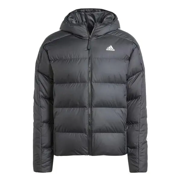 Adidas Midweight Down Hooded Jacket - Black