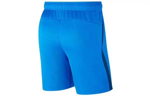 Nike Dri-fit Training Shorts
