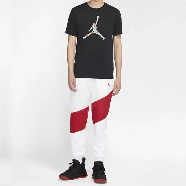JORDAN Flying Colorful Large Logo Short Sleeve