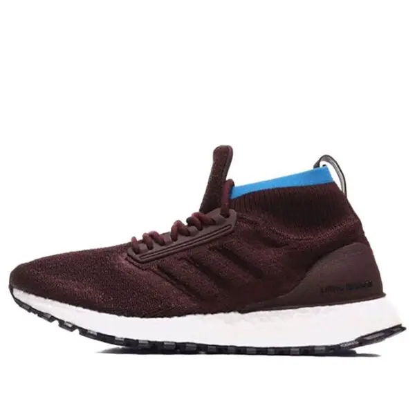 Adidas Ultraboost All Terrain High Top Sneakers - Black/blue