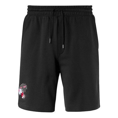 PUMA Fierce Cat Shorts - Black/grey