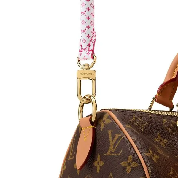 LOUIS VUITTON Speedy 30 Soft Bag