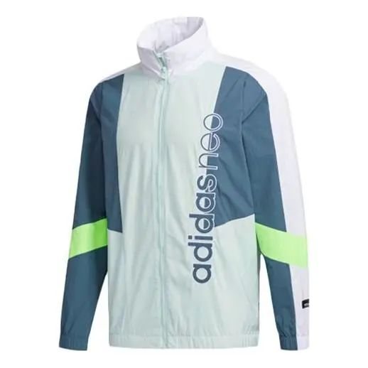 Adidas Neo Ss Tt / Wb Sports Dotted Jacket - Green