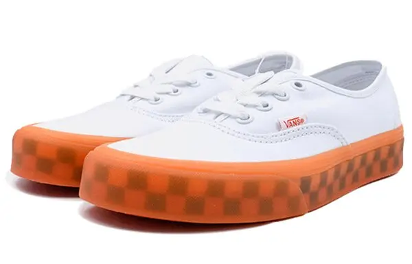 VANS Lace-up Low Top Skate Shoes