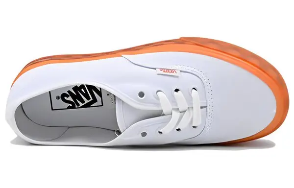 VANS Lace-up Low Top Skate Shoes