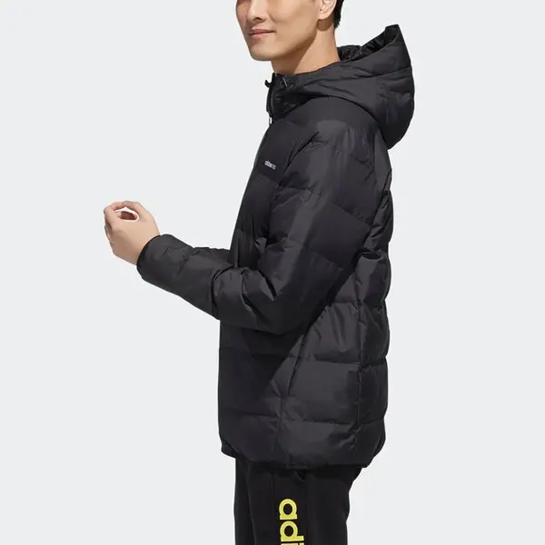 Adidas Neo Down Jacket With Hood - Black