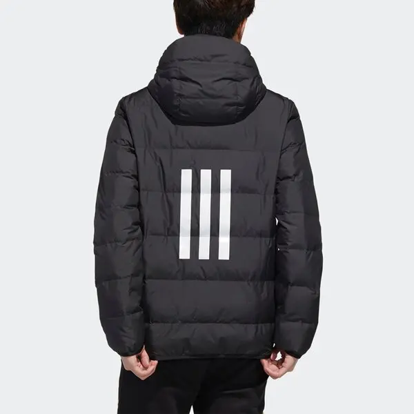 Adidas Neo Down Jacket With Hood - Black
