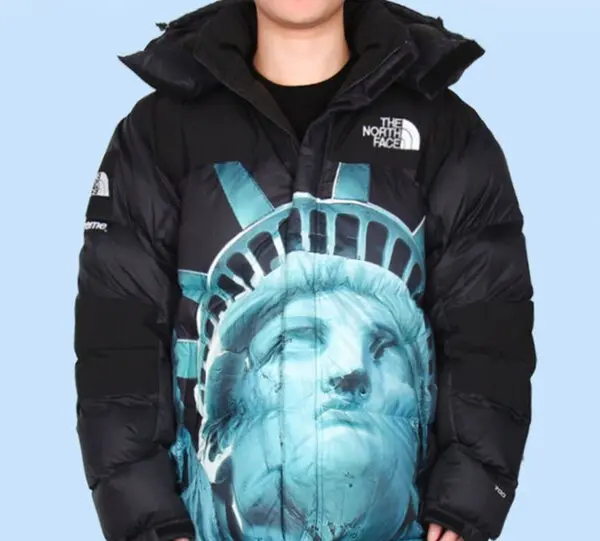 Supreme X The North Face Statue Of Liberty Mountain Jacket - Black/blue