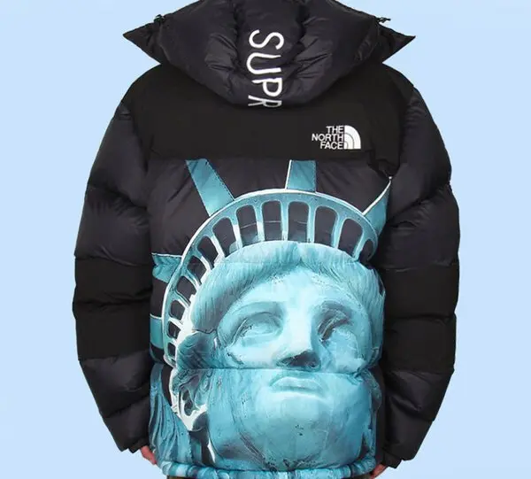 Supreme X The North Face Statue Of Liberty Mountain Jacket - Black/blue