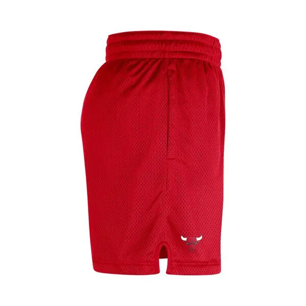 Nike X Nba Chicago Bulls Basketball Shorts