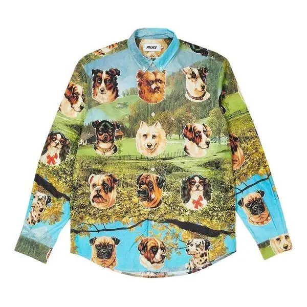 PALACE Fw22 Place Payne Shirt 'multicolor