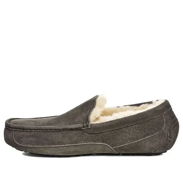 UGG Ascot Slipper - Grey