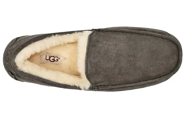 UGG Ascot Slipper - Grey
