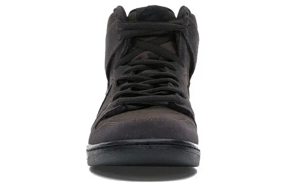 Nike Dunk High Pro "brown