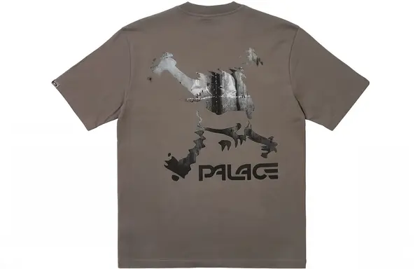 PALACE X Oakley T-shirt