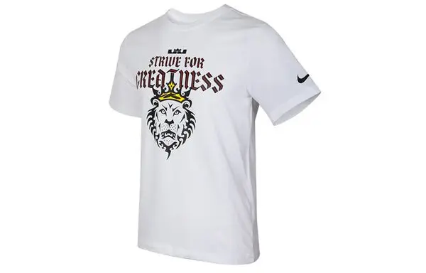 Nike Dri-fit Lebron Strive For Greatness T-shirt