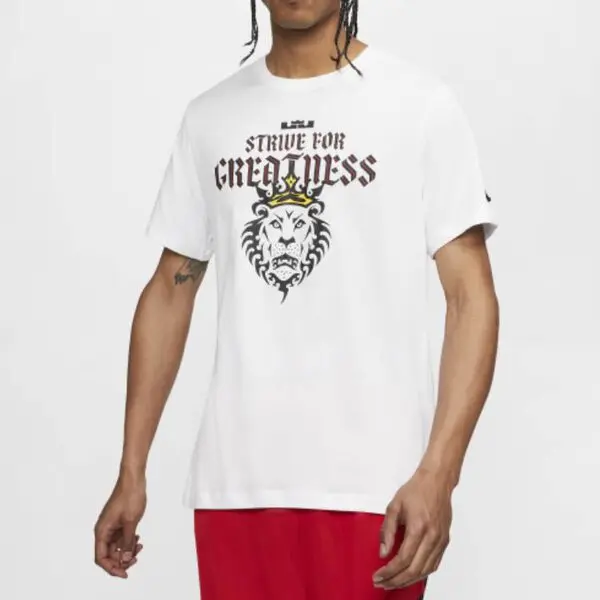 Nike Dri-fit Lebron Strive For Greatness T-shirt
