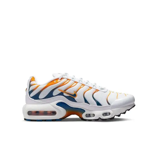 Nike Max Plus Low Top Sneakers - White/blue
