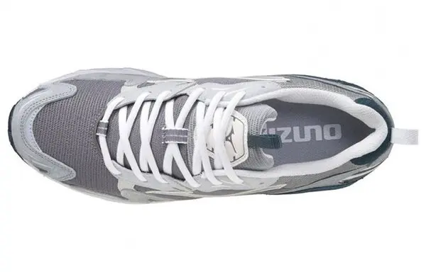 Mizuno Wave Rider 10 Premium "iron Gate" D1ga222607 Low Top Sneakers - Blue/grey
