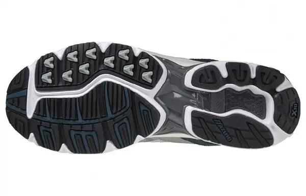 Mizuno Wave Rider 10 Premium "iron Gate" D1ga222607 Low Top Sneakers - Blue/grey