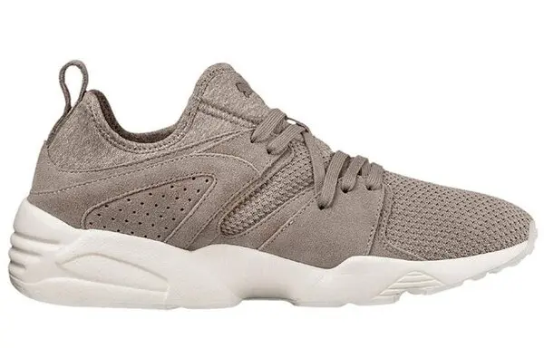 PUMA Blaze Ct Low Top Sneakers