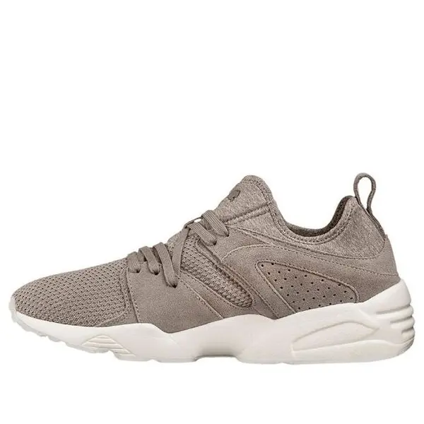 PUMA Blaze Ct Low Top Sneakers - Gray