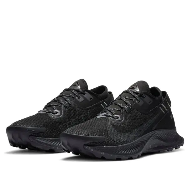 Nike Pegasus Trail 2 Gtx Running Shoes