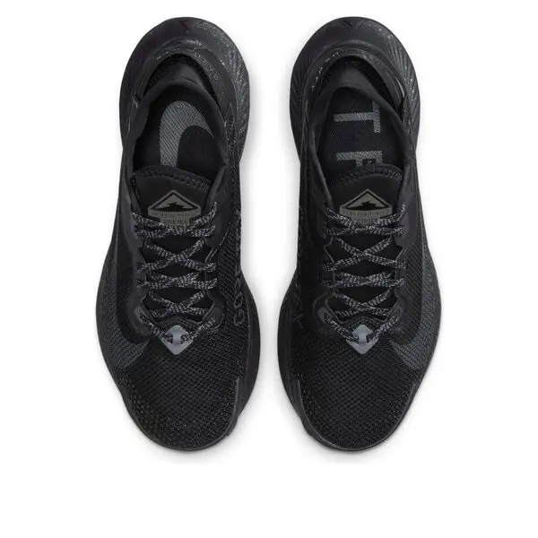 Nike Pegasus Trail 2 Gtx Running Shoes