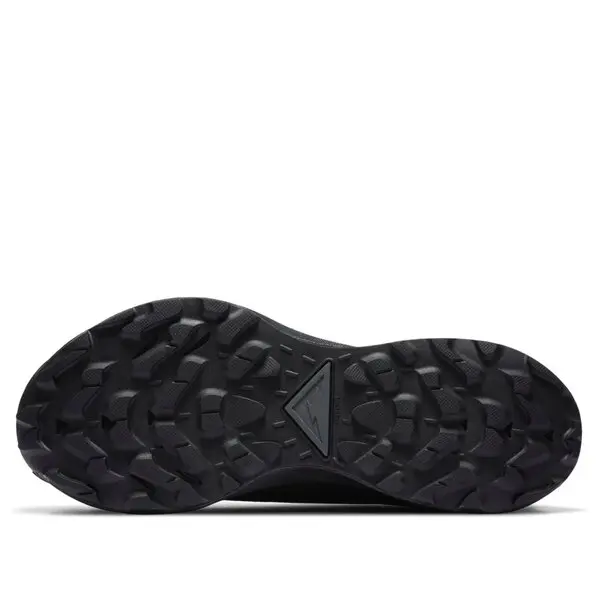 Nike Pegasus Trail 2 Gtx Running Shoes