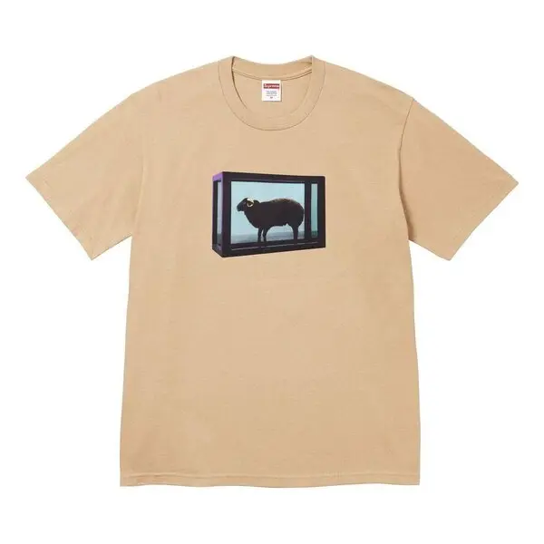 Supreme X Damien Hirst T-shirt - Khaki
