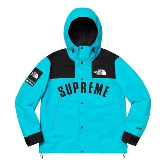 Supreme X The North Face Arc Logo Mountain Parka