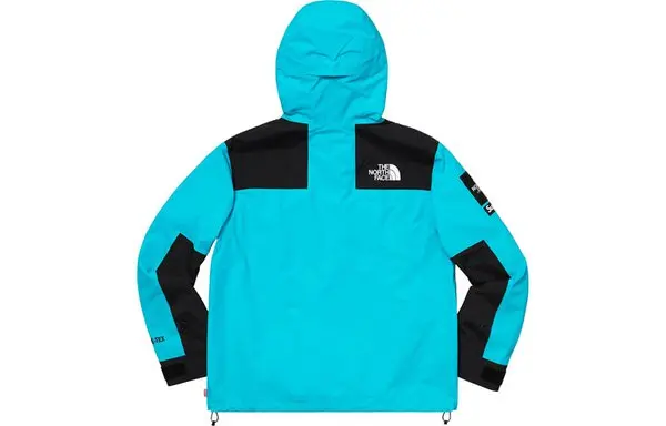 Supreme X The North Face Arc Logo Mountain Parka
