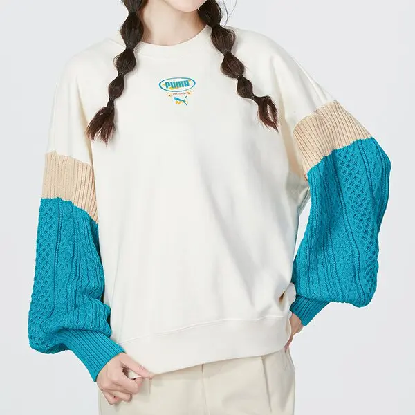PUMA Colorblock Crewneck Sweatshirt