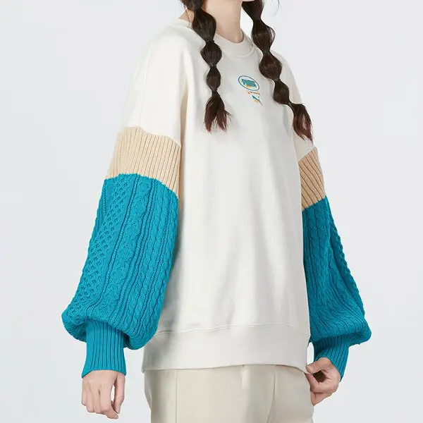 PUMA Colorblock Crewneck Sweatshirt