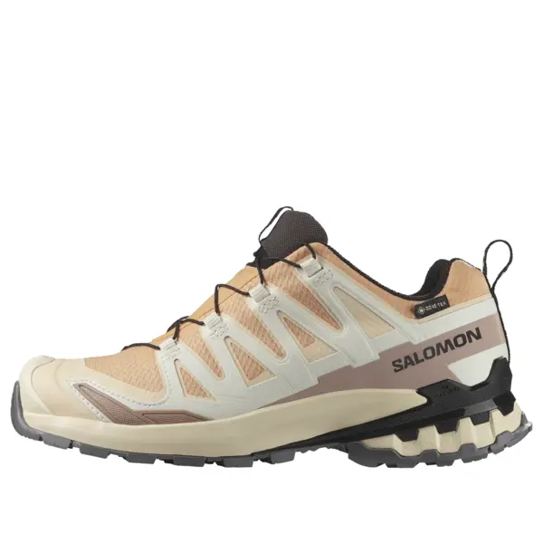 SALOMON Xa Pro 3d V9 Gtx Sneakers - Hazelnut/tender Peach/black