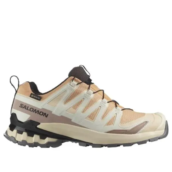 SALOMON Xa Pro 3d V9 Gtx Sneakers - Hazelnut/tender Peach/black