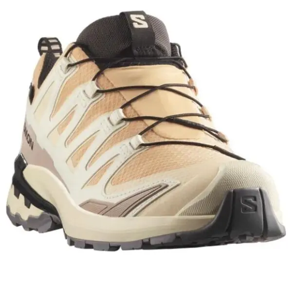SALOMON Xa Pro 3d V9 Gtx Sneakers - Hazelnut/tender Peach/black