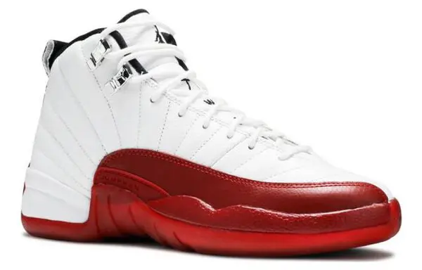 JORDAN 12 Retro 'cherry' 2009