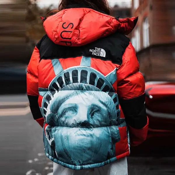 Supreme X The North Face Statue Of Liberty Mountain Jacket - Red
